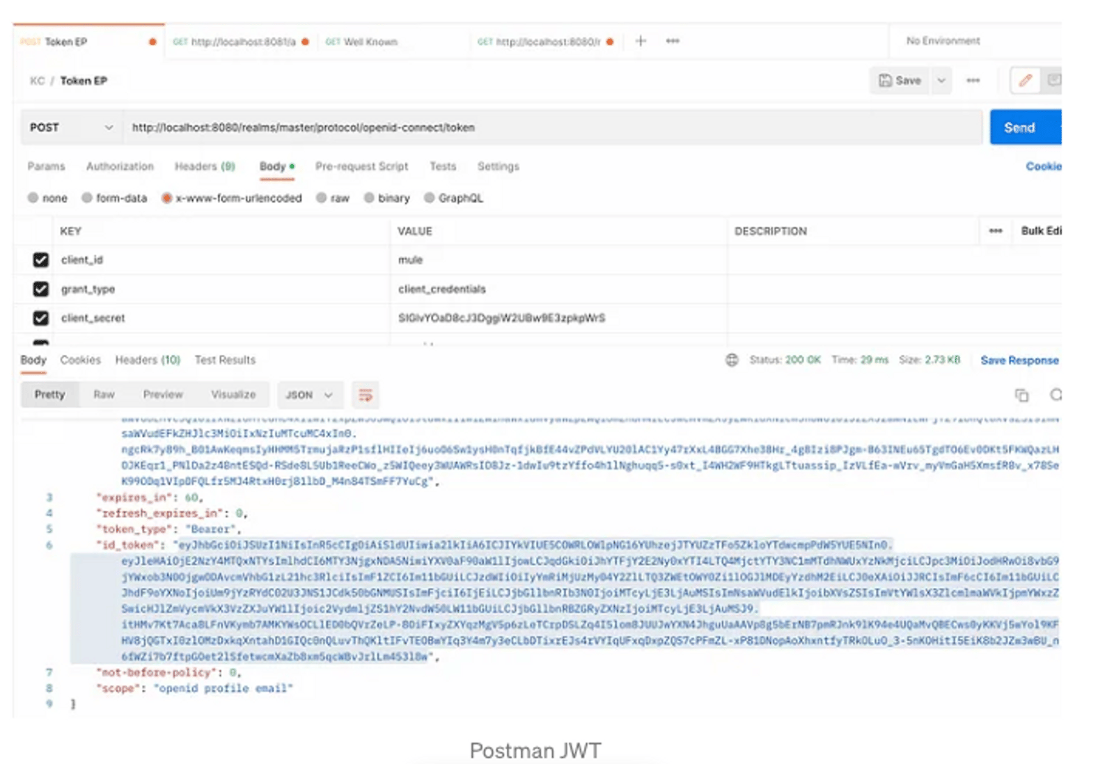 How The Mulesoft Jwt Validation Policy Works